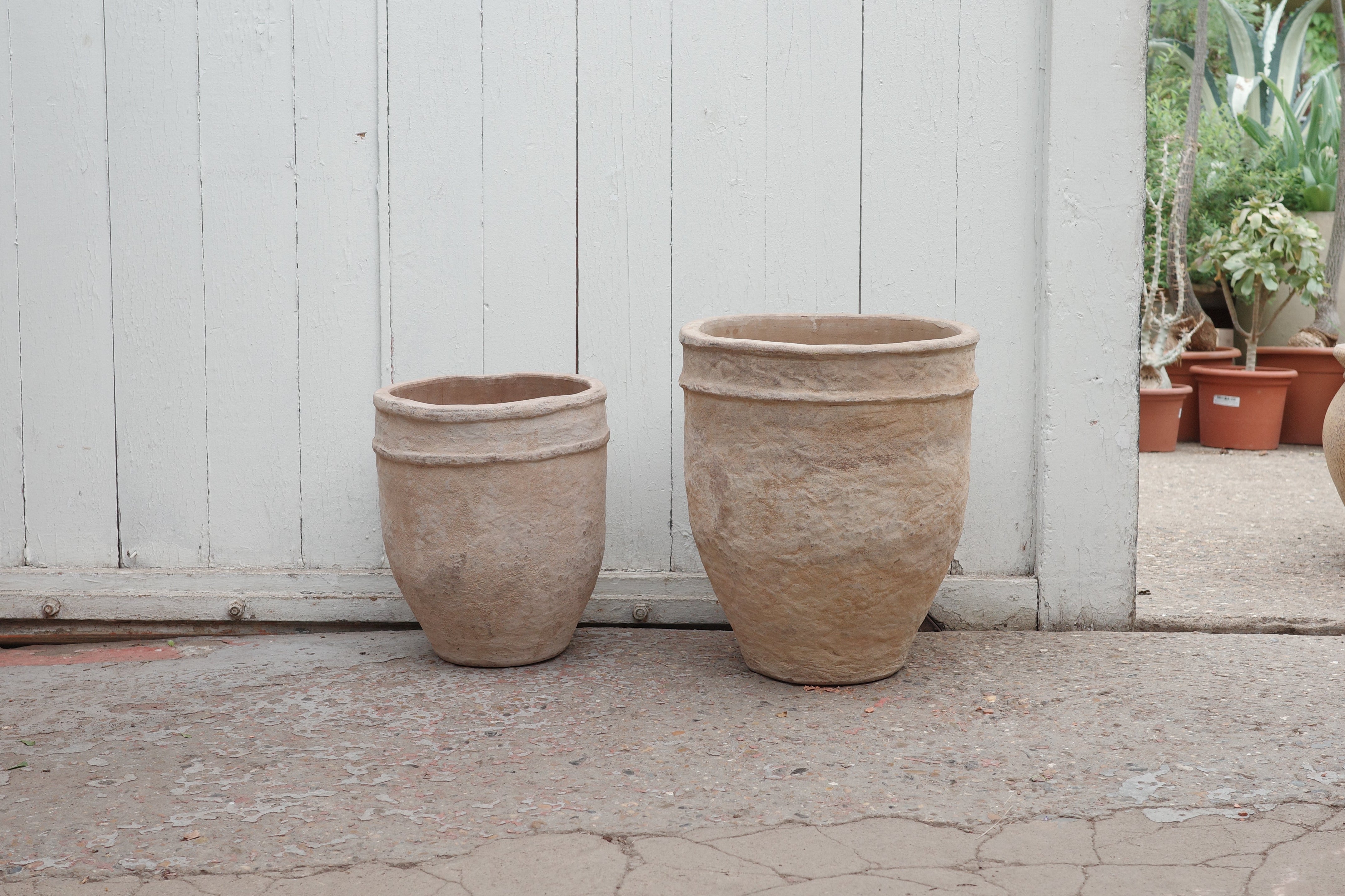 Erinyes Tall – Conservatory Archives