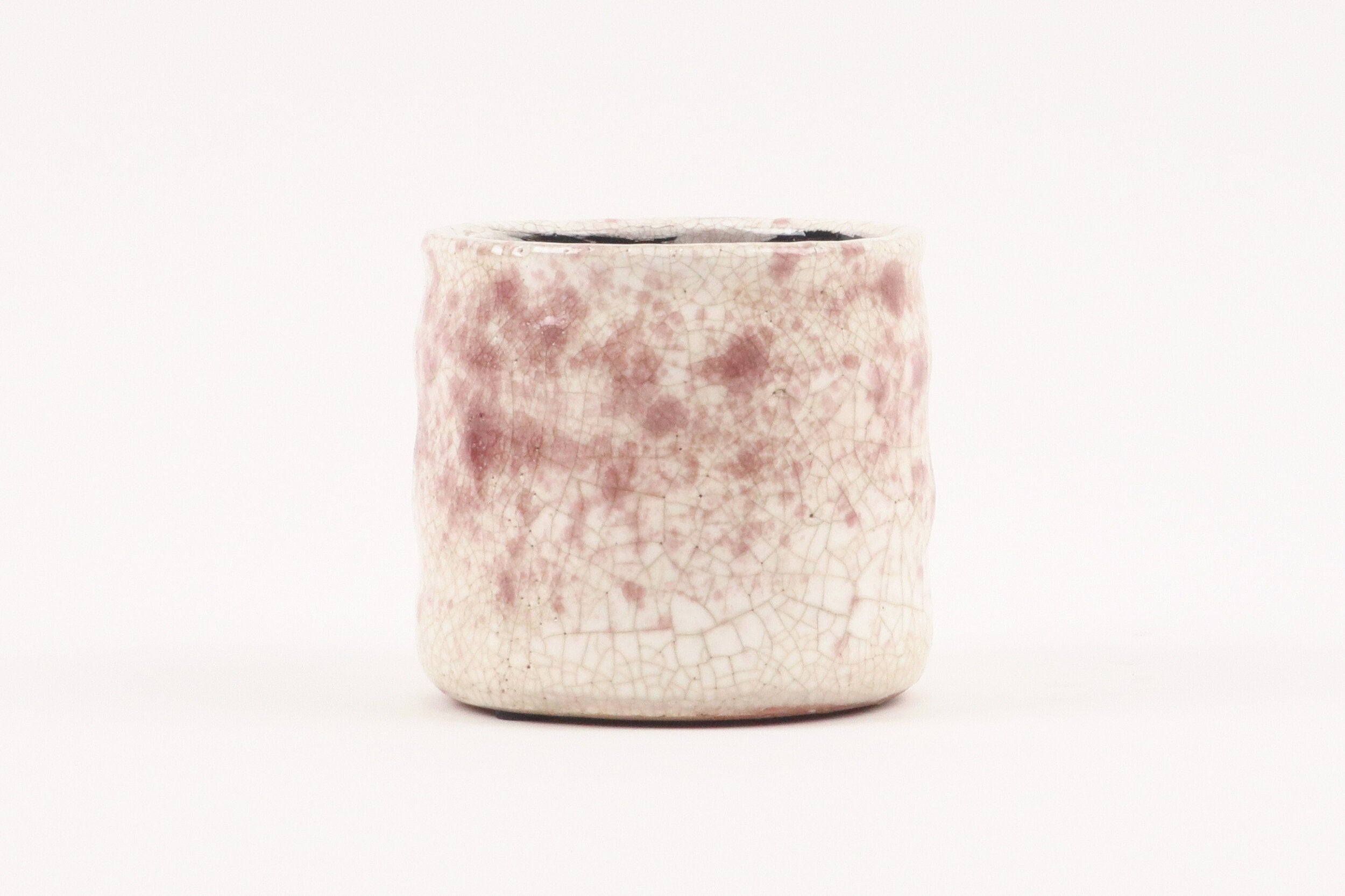 Conservatory Archives Plant Pots and Planters - Calcinea Raspberry