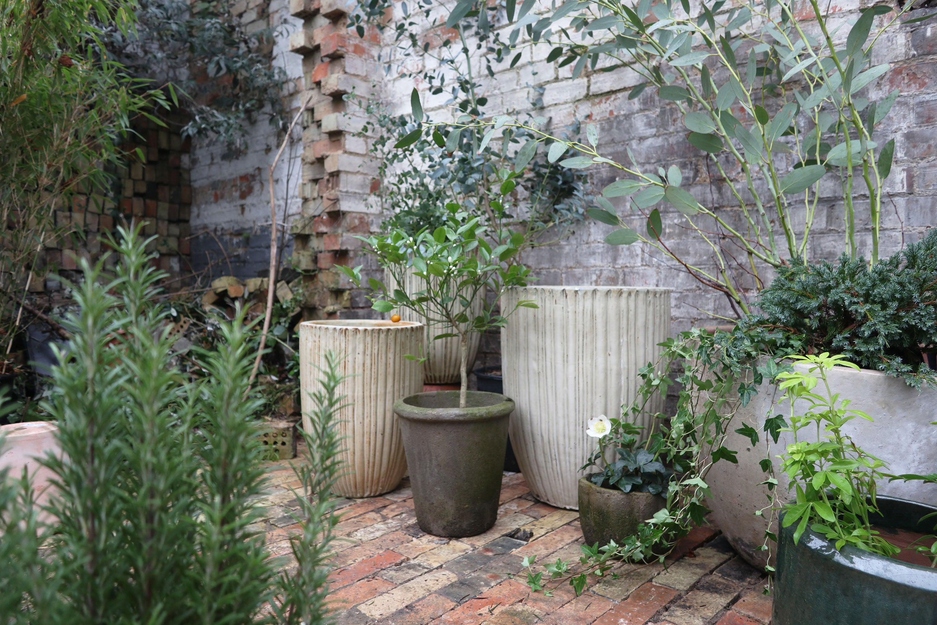 Skuld – Conservatory Archives