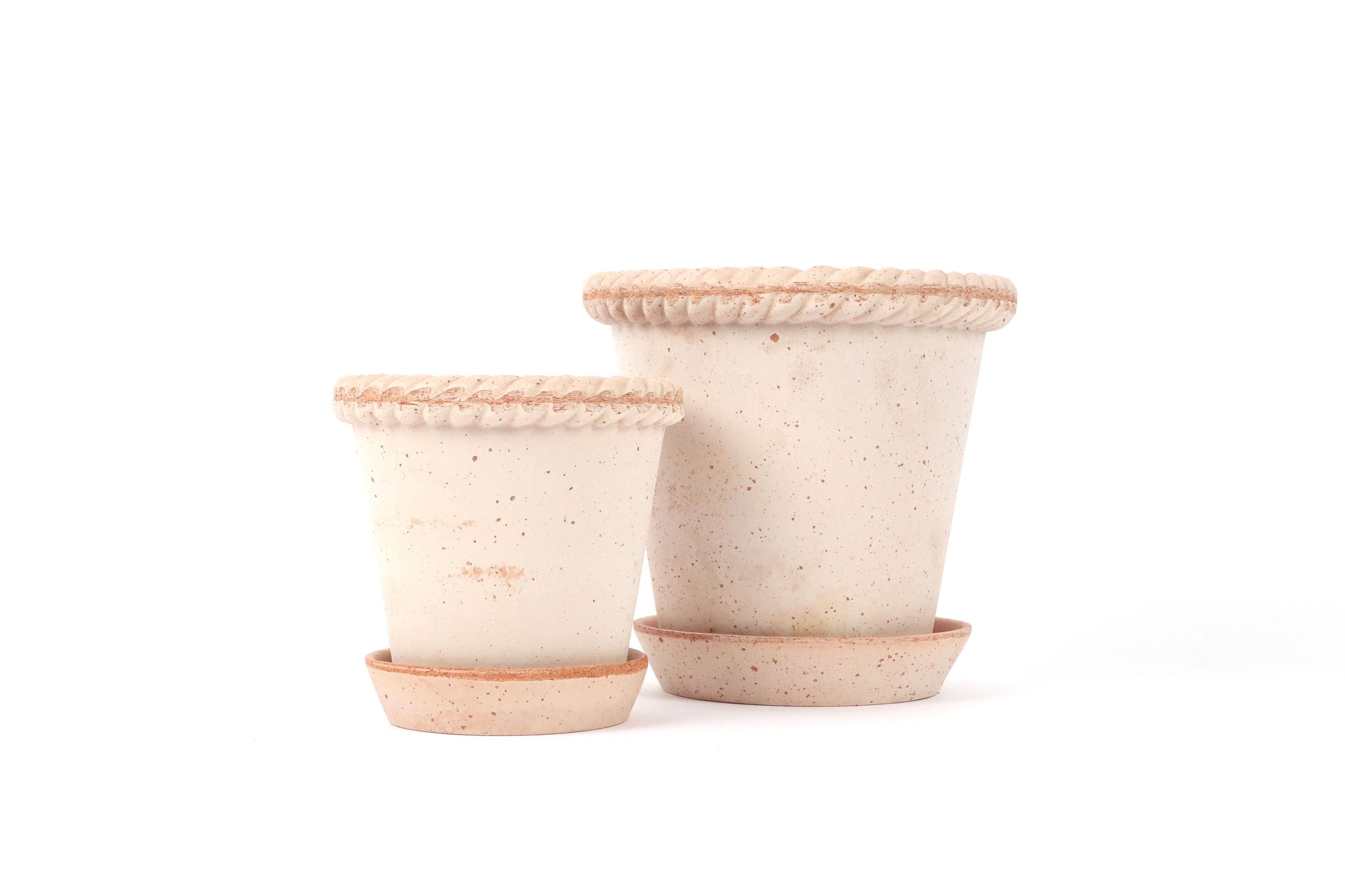 Emilia Pink with saucer – Conservatory Archives