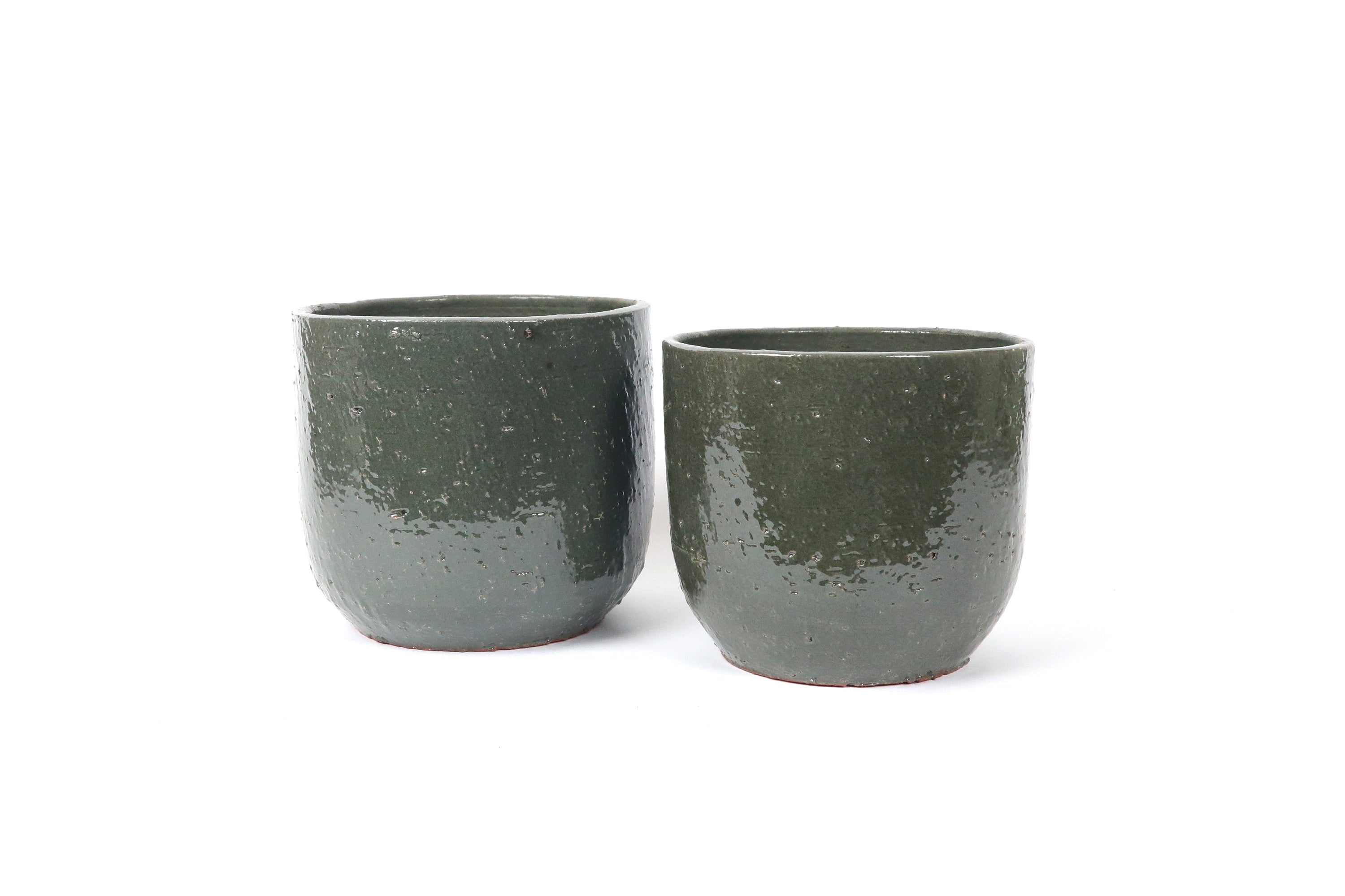 Portland – Conservatory Archives